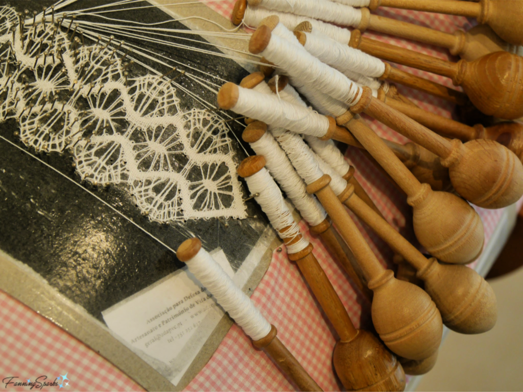 Inspired by Mother Nature’s Lace – FanningSparks