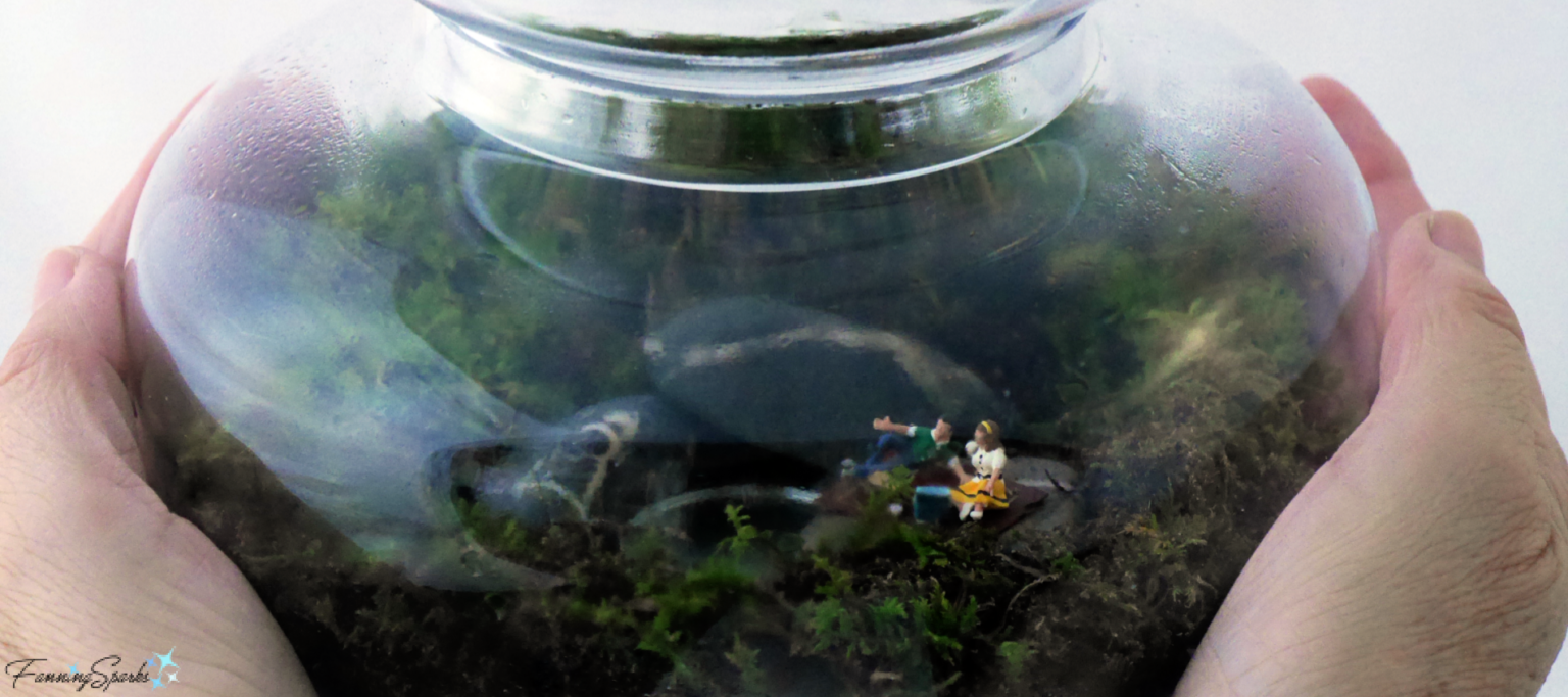 Miniature Garden in a Closed Terrarium – DIY Tutorial – FanningSparks