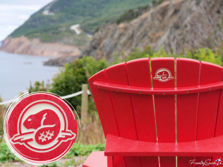 Best Seat in the Park – FanningSparks