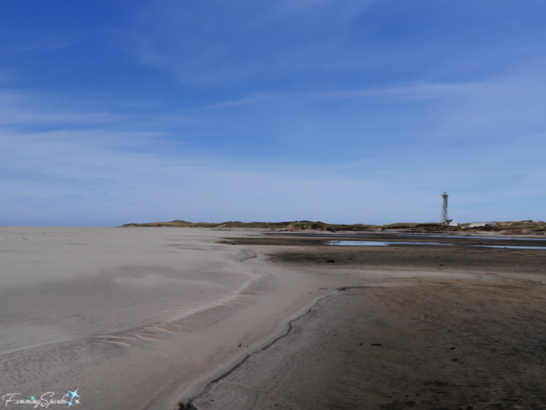 6 Fascinating Facts about Sable Island – FanningSparks