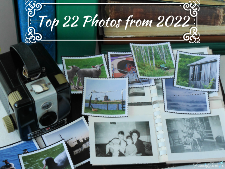 Top 22 Photos from 2022 – FanningSparks