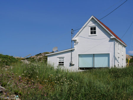 Postcards from Newfoundland #1 – FanningSparks