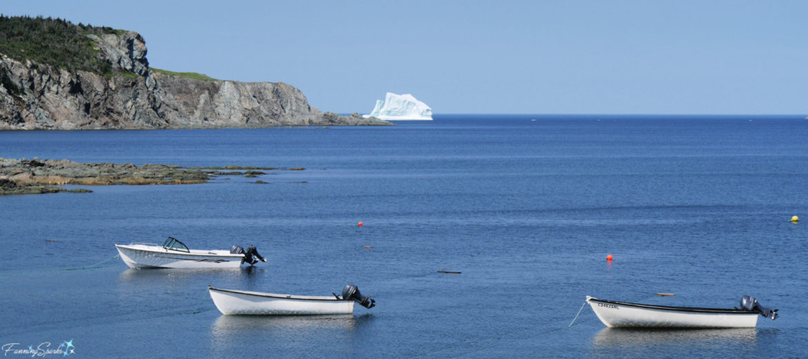 Postcards from Newfoundland #1 – FanningSparks