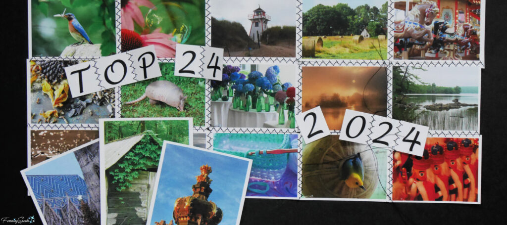 Top 24 Photos from 2024 – FanningSparks
