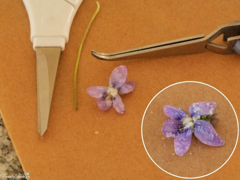 Roses are Red, Violets are Rarely Blue – FanningSparks