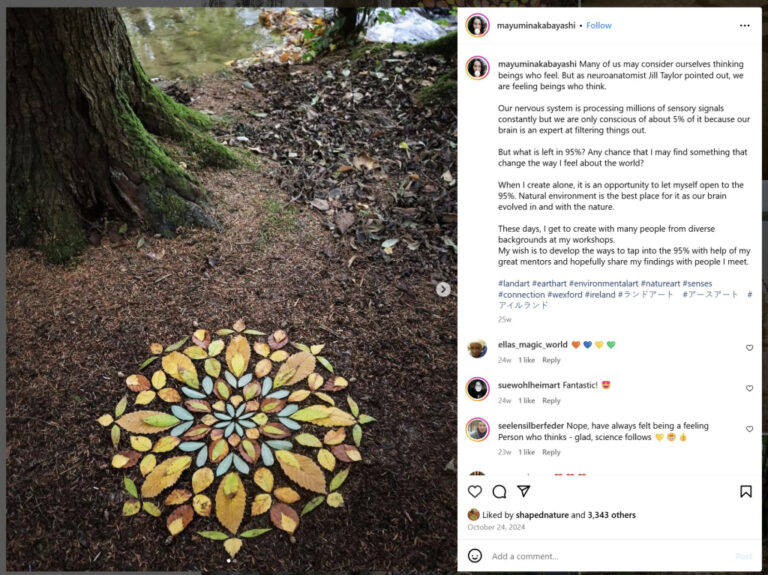 Making Art with Nature in Nature – FanningSparks