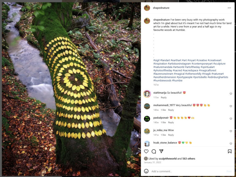 Making Art with Nature in Nature – FanningSparks