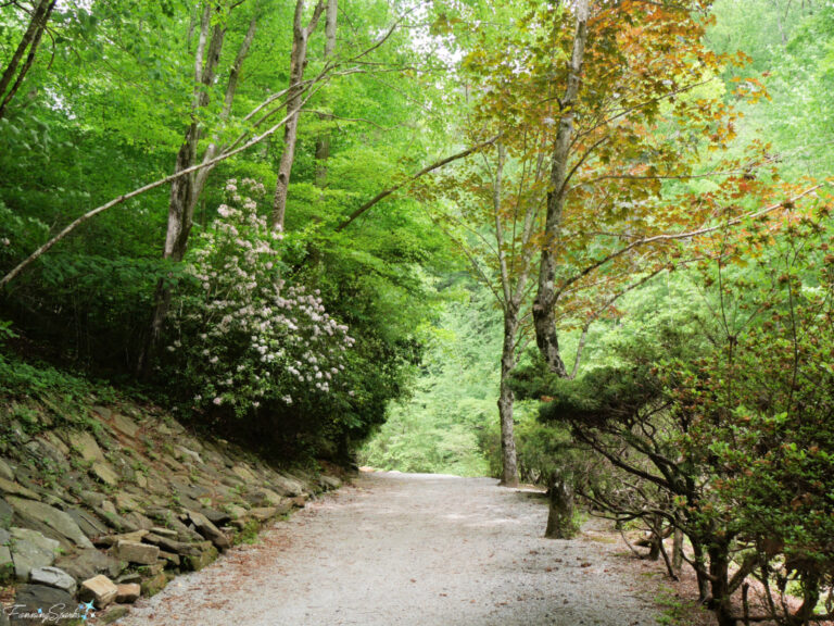 April Showers Bring May Waterfalls – FanningSparks